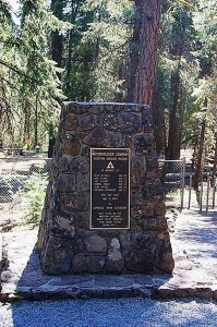 Mitchell Monument Shrapnel Tree - Oregon Travel Information Council
