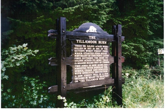 Tillamook Burn - Oregon Travel Information Council