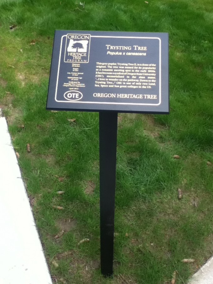 Trysting Tree - Oregon Travel Information Council