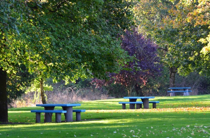 Highway safety rest areas - Oregon Travel Information Council