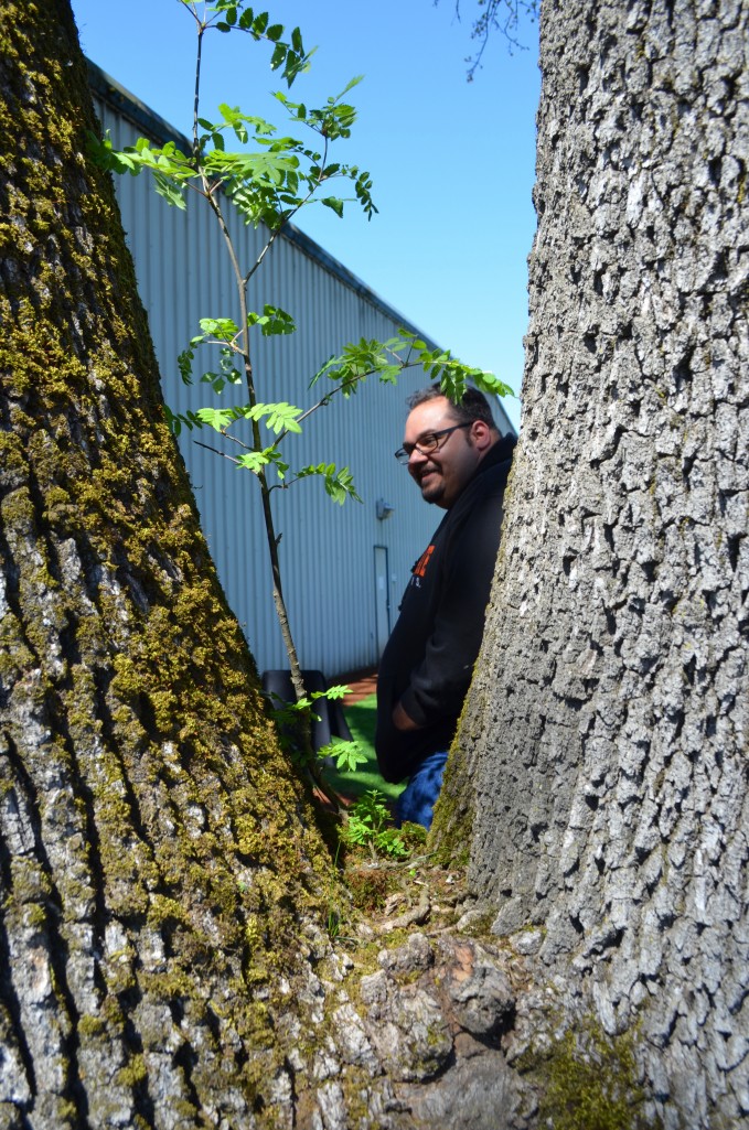 Lee Oak Tree Dedication - Oregon Travel Information Council