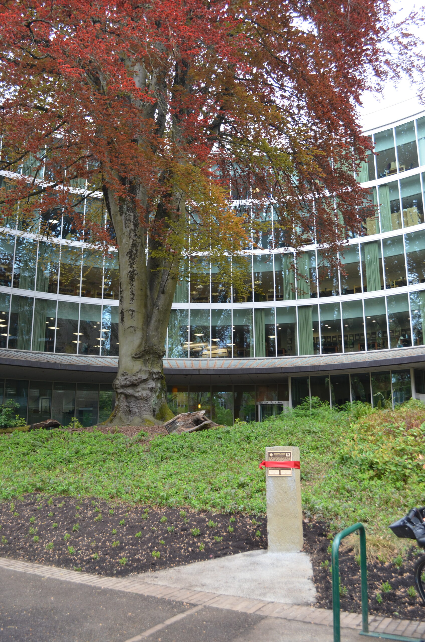 Heritage Tree Details - Oregon Travel Information Council