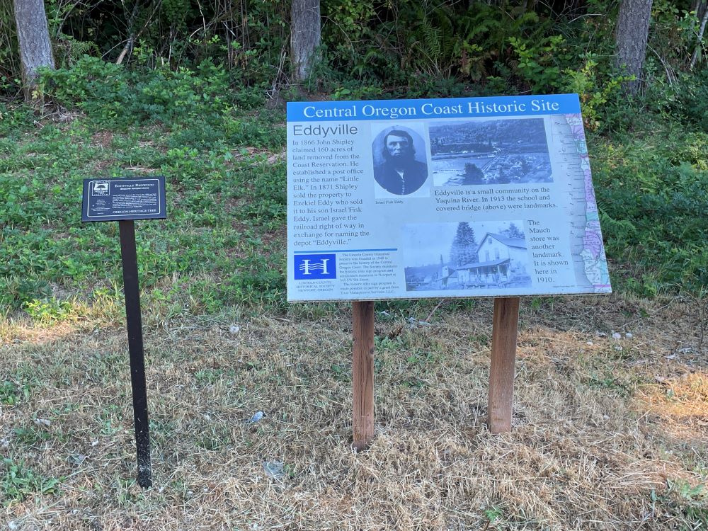 Eddyville Redwood - Oregon Travel Information Council