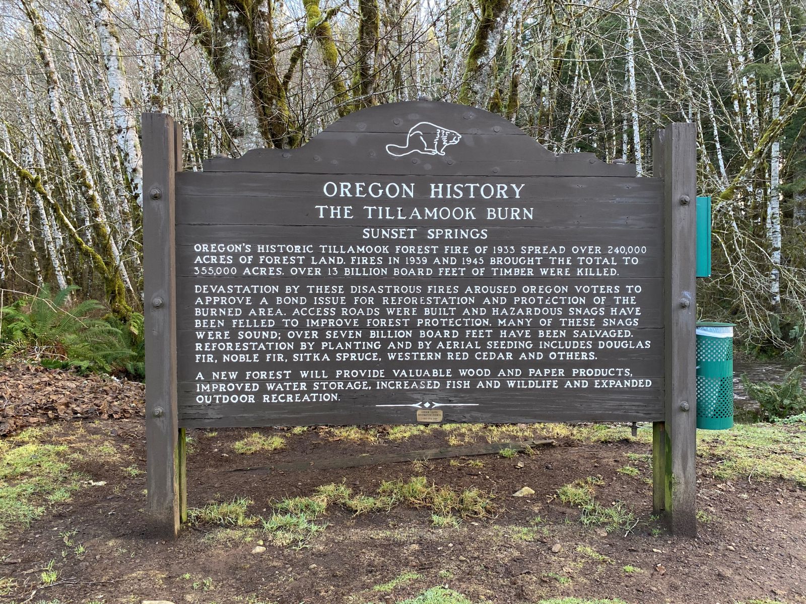 Tillamook Burn - Sunset Springs - Oregon Travel Information Council