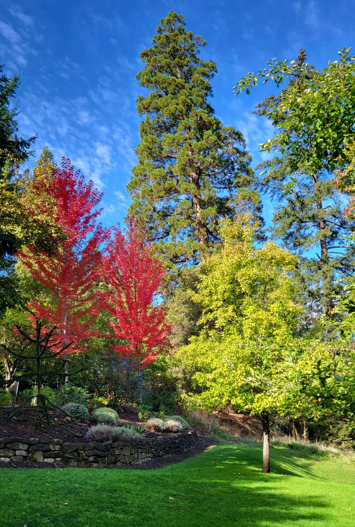 Britt Sequoia - Oregon Travel Information Council